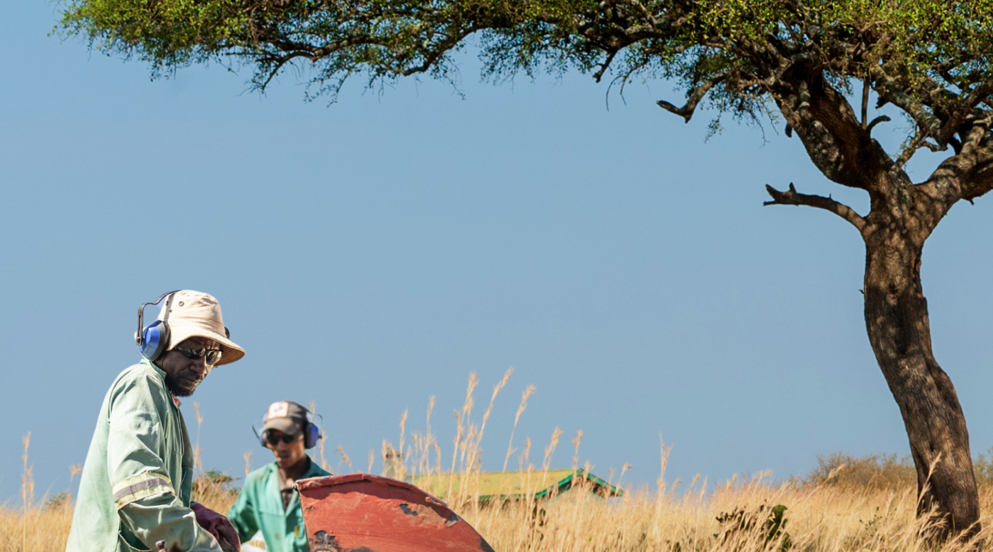 African Charcoal Company | Restaurant Grade Charcoal for Grilling